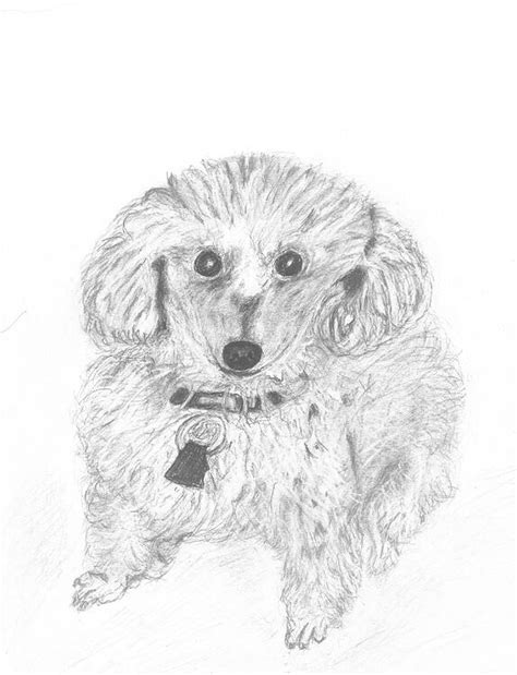 Recent Drawing A While Back Share Your Art The Artists Community