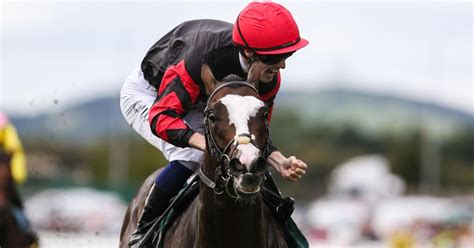 Folsom Blues Strikes For Impressive National Stakes Victory Keighley News
