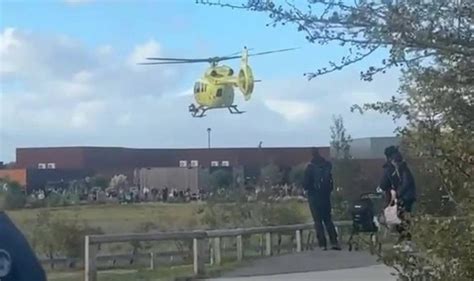 Yorkshire Wildlife Park Tiger That Mauled Man Will Not Be Put Down