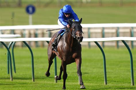 Talk Of New York Goes In Search Of Group 1 Breakthrough At Ascot