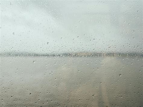 고요한 교활한 날씨 달래는 몽환 물 물을 튀기다 반사 부드러운 분위기 비 빗방울 습기 시원한 씻은 안개 낀 액체 야외에서 우울증 우울한