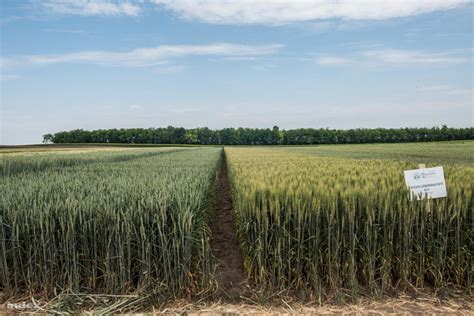 Gazdák Az Indexnek A Kormány Egyetlen Döntése A Magyar Agrárium