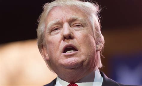 Trump Tv Crashes And Burns Already Palmer Report