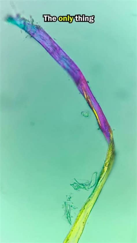 Worms In Tap Water Fact Or Fake