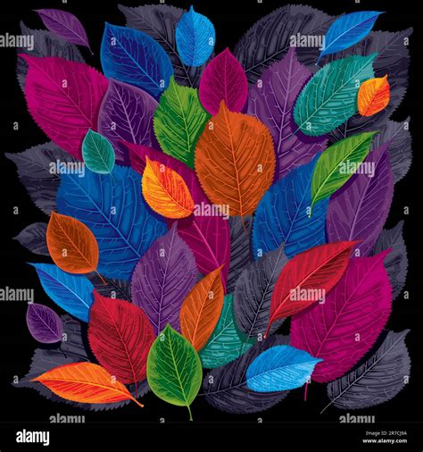 Yellow Black Dark Purple Stock Vector Images Alamy