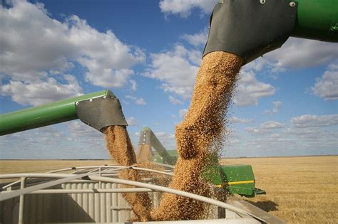 Ftc Usda Open Probe Into Agricultural Manufacturing Sector
