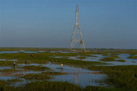 Clean Power Gets Switched Off Despite Record Demand Ssbcrack News