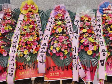 박근혜 귀향 D 1 1만명 올 것 긴장·기대 뒤섞인 대구 사저 Zum 뉴스