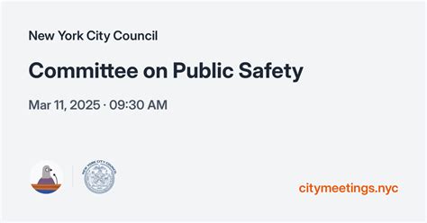 New York City Council Committee On Public Safety March 11 2025