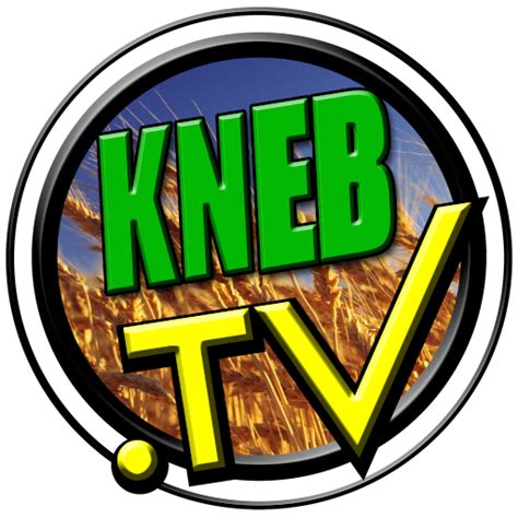 Puzzle Tournament At Alliance Public Library Knebtv