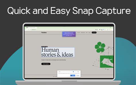 Capture Div Professional Web Capture Tool Extension Chrome