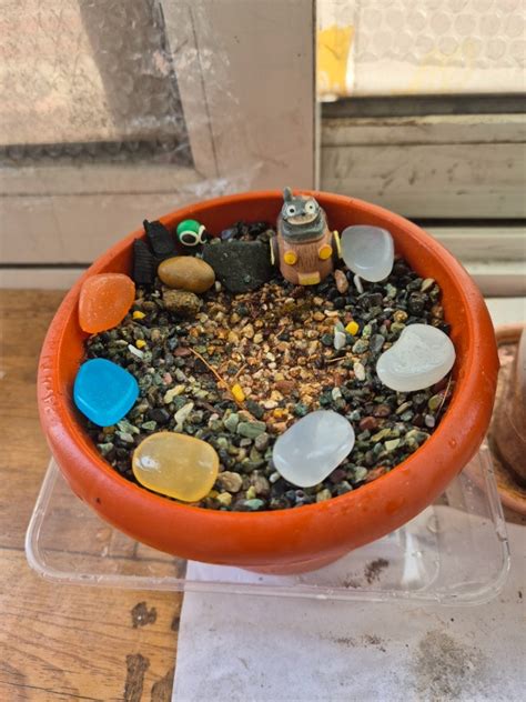 천왕산 도토리키우기 도토리심기 도토리나무키우기 참나무키우기 네이버 블로그