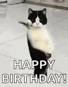 Birthday Cat S Tenor