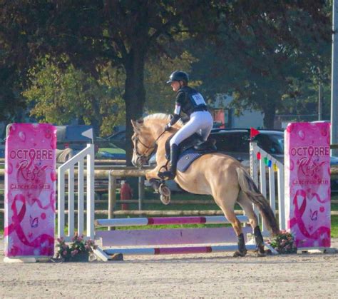 Eckwersheim Ce Dimanche Les Chevaux Galopent Pour Octobre Rose