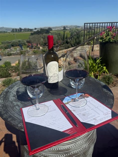Napa Valley Weekend Blue Skies Sunny Days Travel