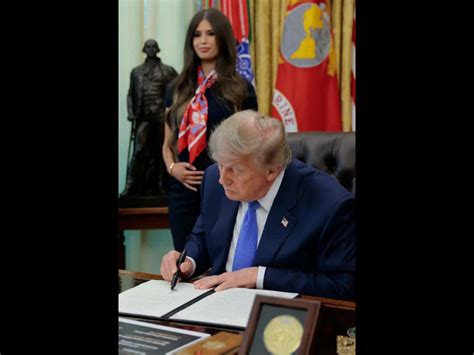 ‘the Zapper Internet Conspiracy Theory Claims Woman Behind Trump