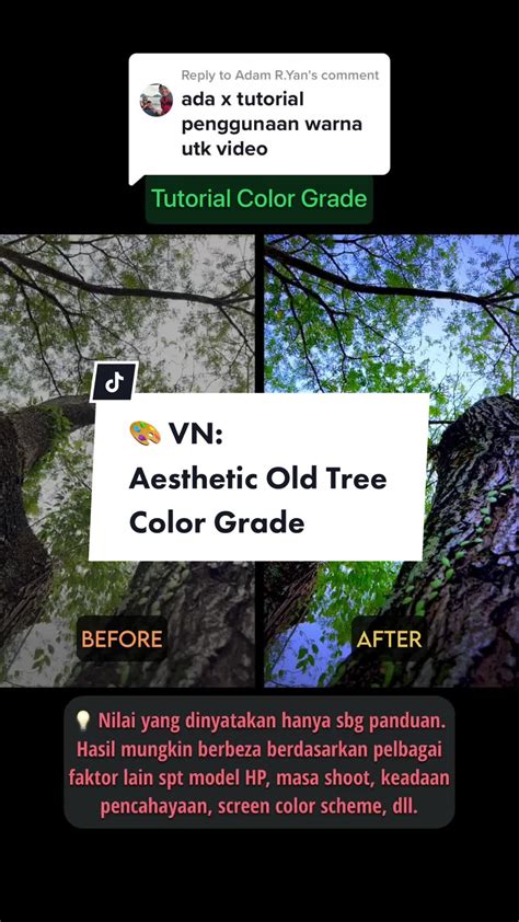 Enhancing Aesthetic Tree Colors Tutorial On Color Grading Tiktok
