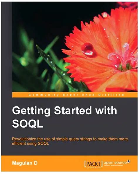 Getting Started With SOQL InfallibleTechie