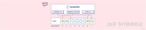 详解java Bytebuffer原理和最佳实践 知乎