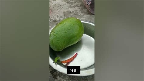 আম বড় পেয়ারা কাঁচা লংকা ছাড়া মাখবো কি করে এইভাবে আম মাখা করলে খুব
