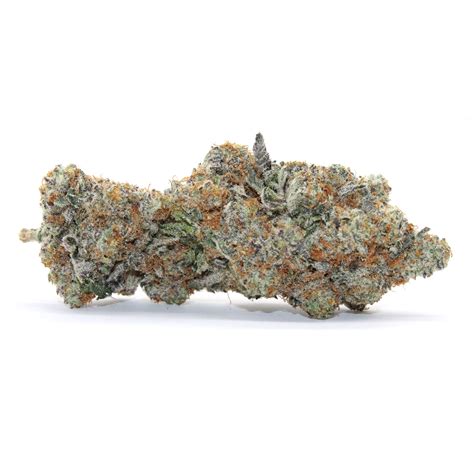 Candy Rain Flower Herbazon