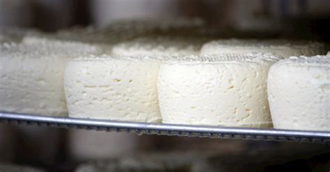 Pasteurized Milk Cheeses Of Petaluma 16 Petaluma Types Tasteatlas