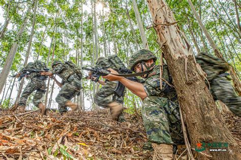 武警广西总队机动支队组织开展多要素多课目融合训练 中国军网
