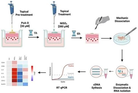 Pseudopterosin A D Modulates Dendritic Cell Activation In Skin