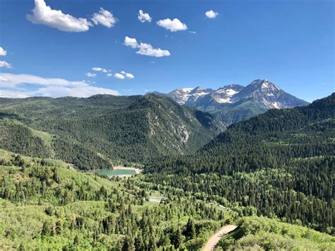 Upenn Sat Requirements Admissionado