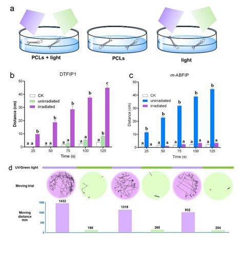 optical control behavioral responses of mosquito larvae a schematic
