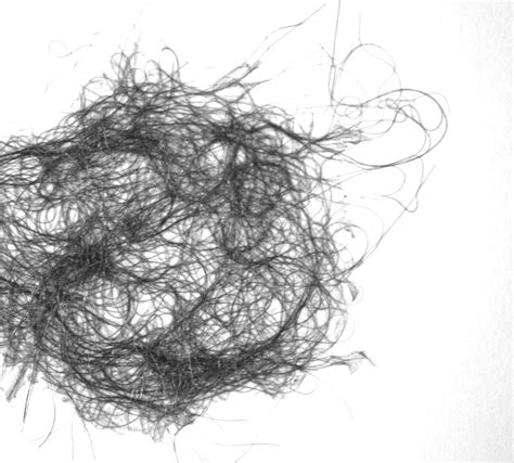 Img 7004 Emma Callow Flickr