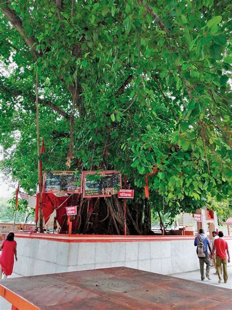 Sri Akshayavat Temple Patalpuri The Sacred Tree Of Immortality And Devotion સૃષ્ટિનું સર્જન