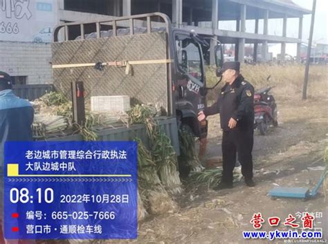 营口：打造文明“农村大集”对“钢铁大集”整治 营口新闻 营口之窗辽宁营口信息门户网