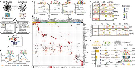 Identification Of Regulators Through Multi Omic Data Integration A Download Scientific Diagram