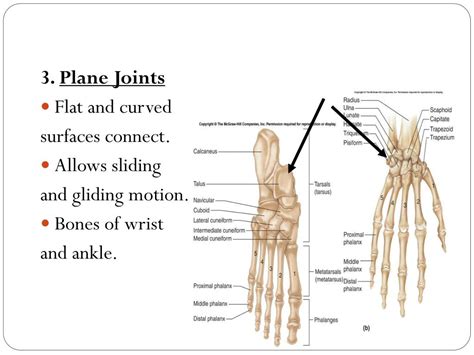 Ppt Types Of Joints Powerpoint Presentation Free Download Id 2330260