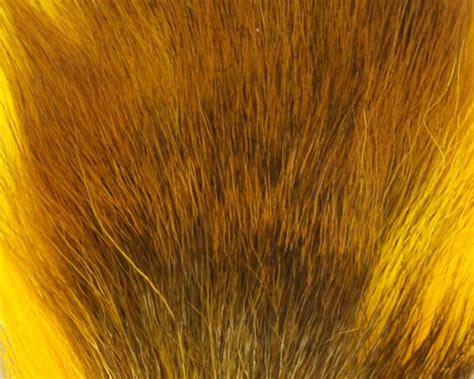 Petite Bucktail Fly Fish Food