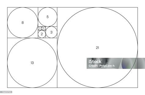 원형의 피보나치 시퀀스 황금 비율 기하학적 개념 벡터 일러스트레이션 황금비에 대한 스톡 벡터 아트 및 기타 이미지 황금비 벡터 금 금속 Istock