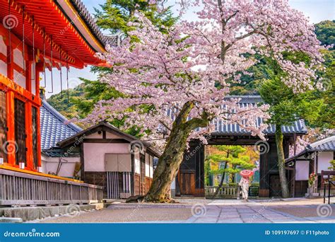 El Templo Y La Flor De Cerezo De Kiyomizu dera Sazonan La Primavera T De Sakura Fotografía