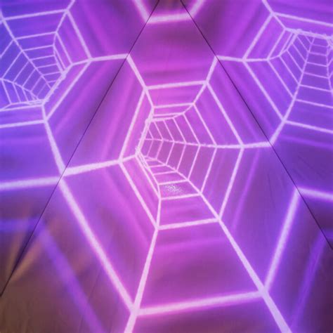 Forest Of Illusions Connecticut Science Center