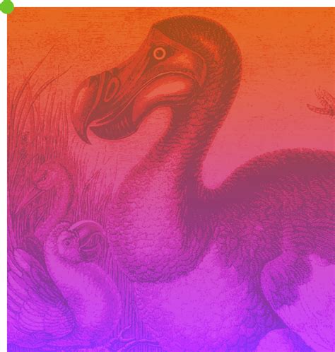 De Extinction Company Set To Resurrect Dodo Bird That Went Extinct In