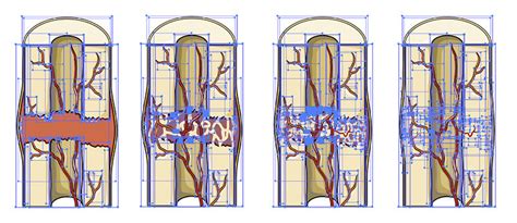 Fracture Repair Vector