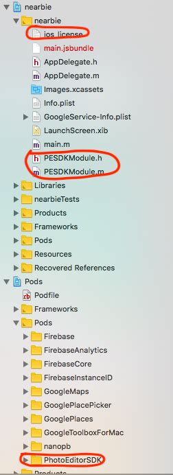 Ios Getting PhotoEditorSDK PhotoEditorSDK H File Not Found Error