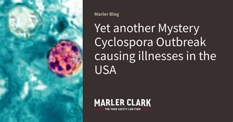 Yet Another Mystery Cyclospora Outbreak Causing Illnesses In The Usa
