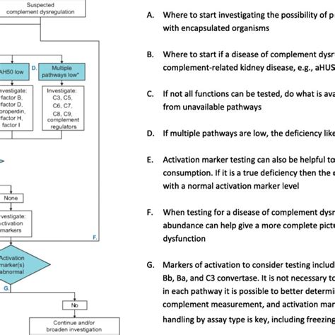 algorithm for complement testing a where to start investigating the