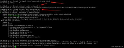 Linux 在线yum安装： Postgresql 156数据库 技术分享 云服务器