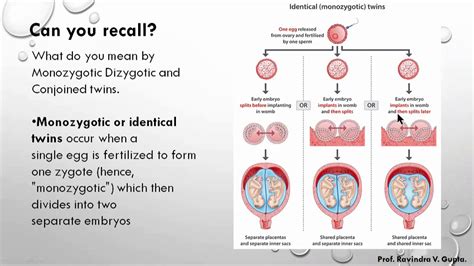 Monozygotic