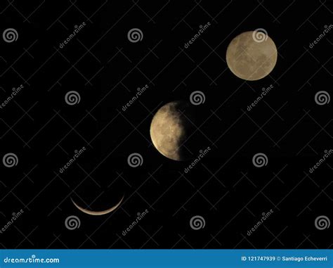 Ciclo De La Luna Imagen De Archivo Imagen De Ciclo