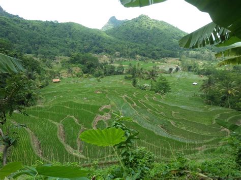 Paket Trekking Curug Cipanunda Karawang Id