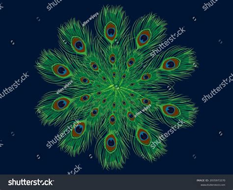Circular Peacock Feather Pattern On Dark Stock Vector Royalty Free