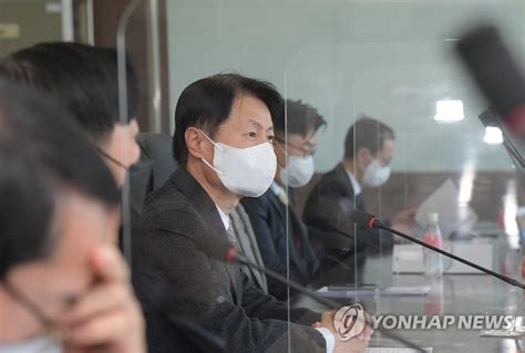 간담회 하는 김강립 식품의약품안전처장 연합뉴스